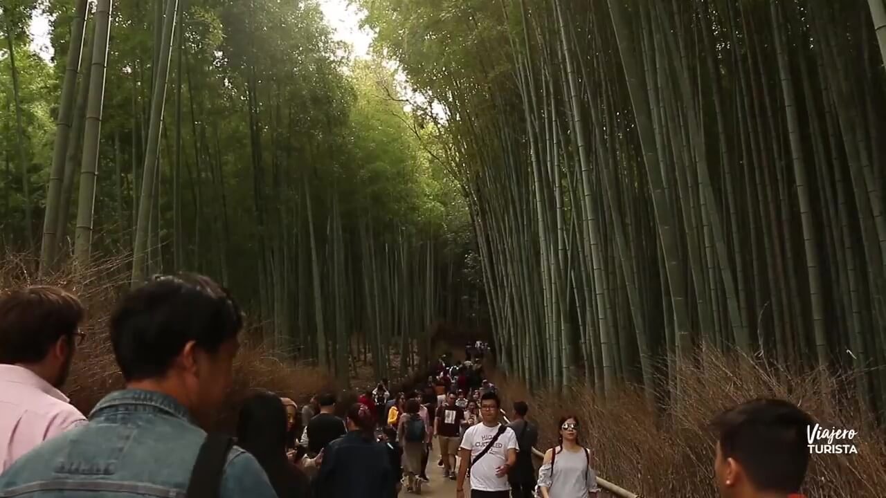 Que ver en Kioto Japon: 7 lugares infaltables